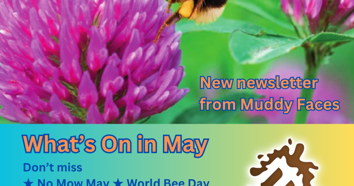 What's On (oh so much!) in May | Muddy Faces