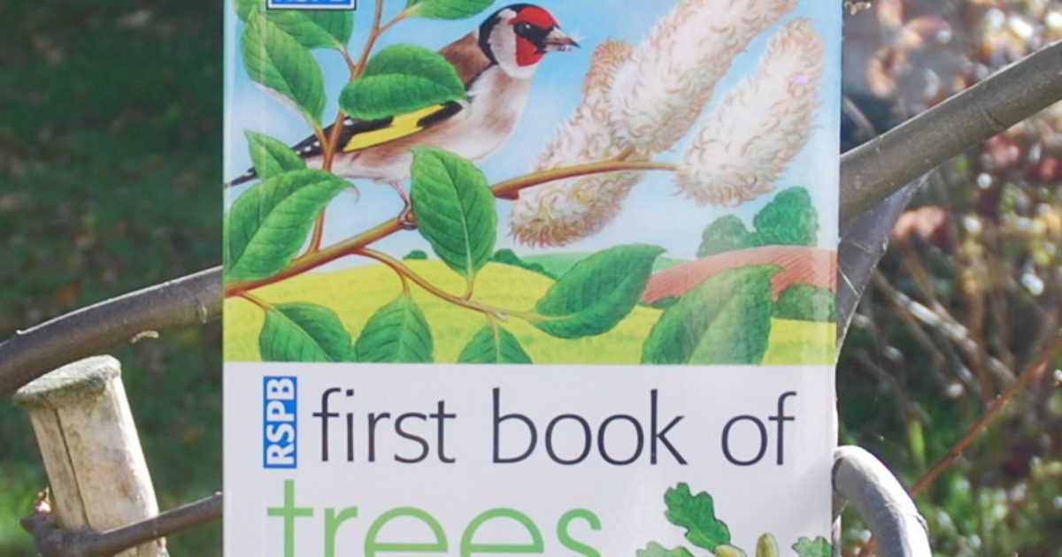 Trees & Shrubs | Plants | Muddy Faces