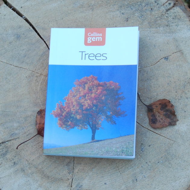 Trees - Collins Gem | Muddy Faces