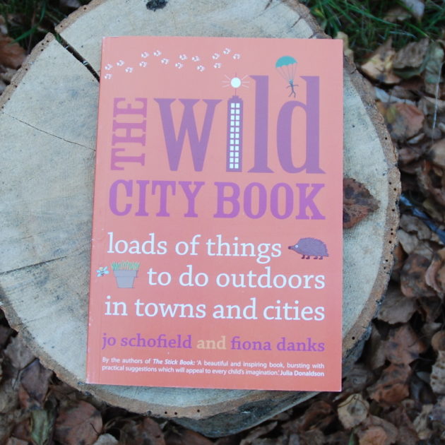 The Wild City Book - Jo Schofield & Fiona Danks | Muddy Faces