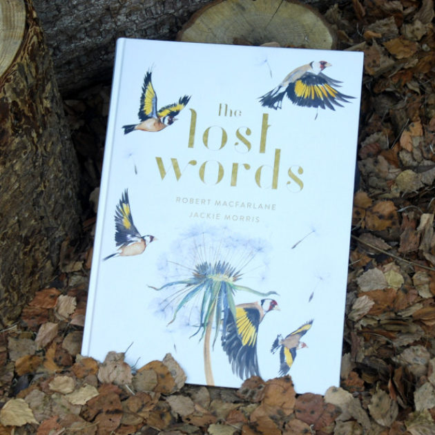 The Lost Words - Robert Macfarlane & Jackie Morris | Muddy Faces