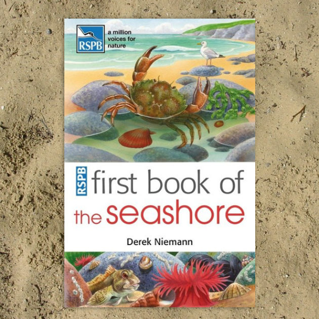 RSPB First Book of the Seashore | Muddy Faces