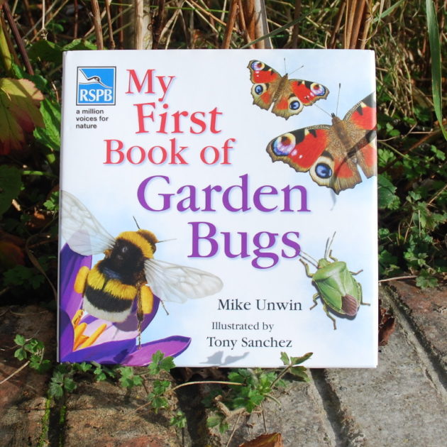 RSPB My First Book of Garden Bugs | Muddy Faces