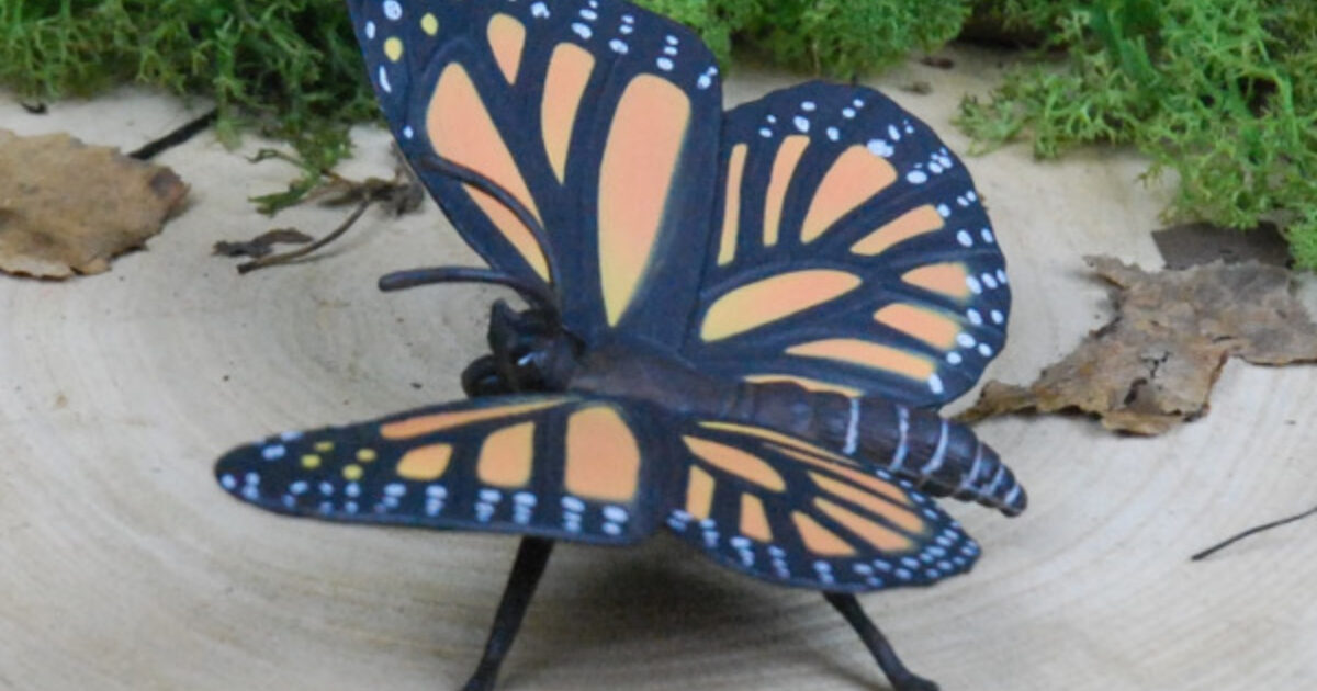 Insects & Minibeasts | Nature & Observation | Muddy Faces
