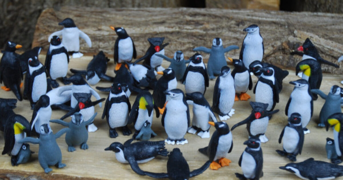 Sea Life | Small World | Muddy Faces