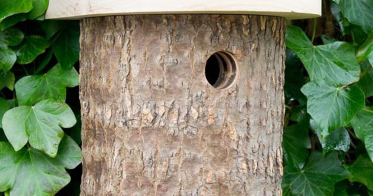 Bird boxes & Feeders | Habitats, Houses and Feeders | Muddy Faces