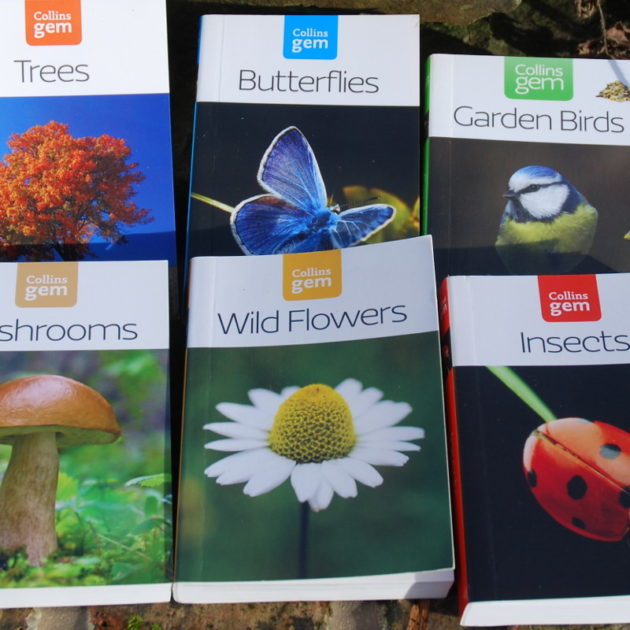 Collins Little Gem Bundle | Muddy Faces