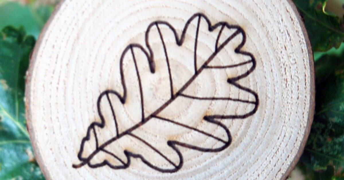 Tree Pest Alert | Muddy Faces