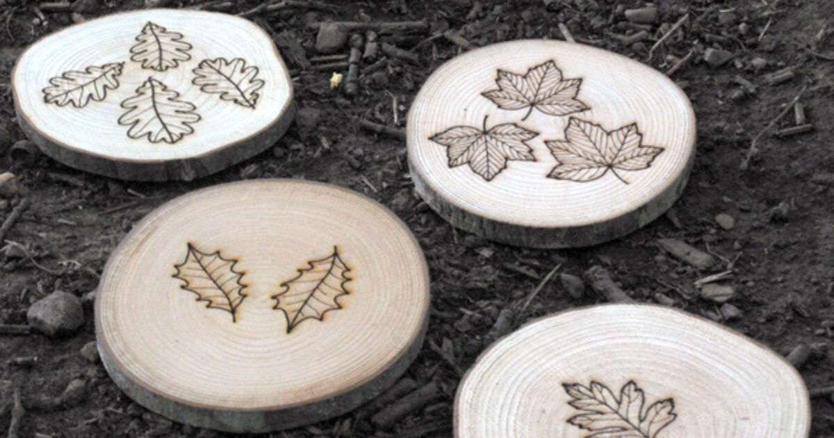 Sets | Trees | Muddy Faces