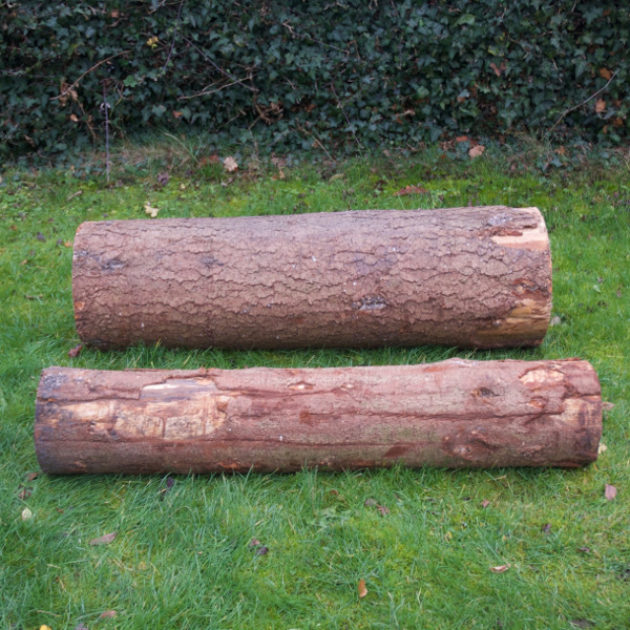 Logs - 100cm | Muddy Faces