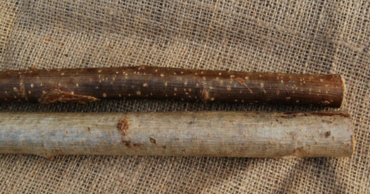 Poles & Den Poles | UK Grown Wood | Muddy Faces