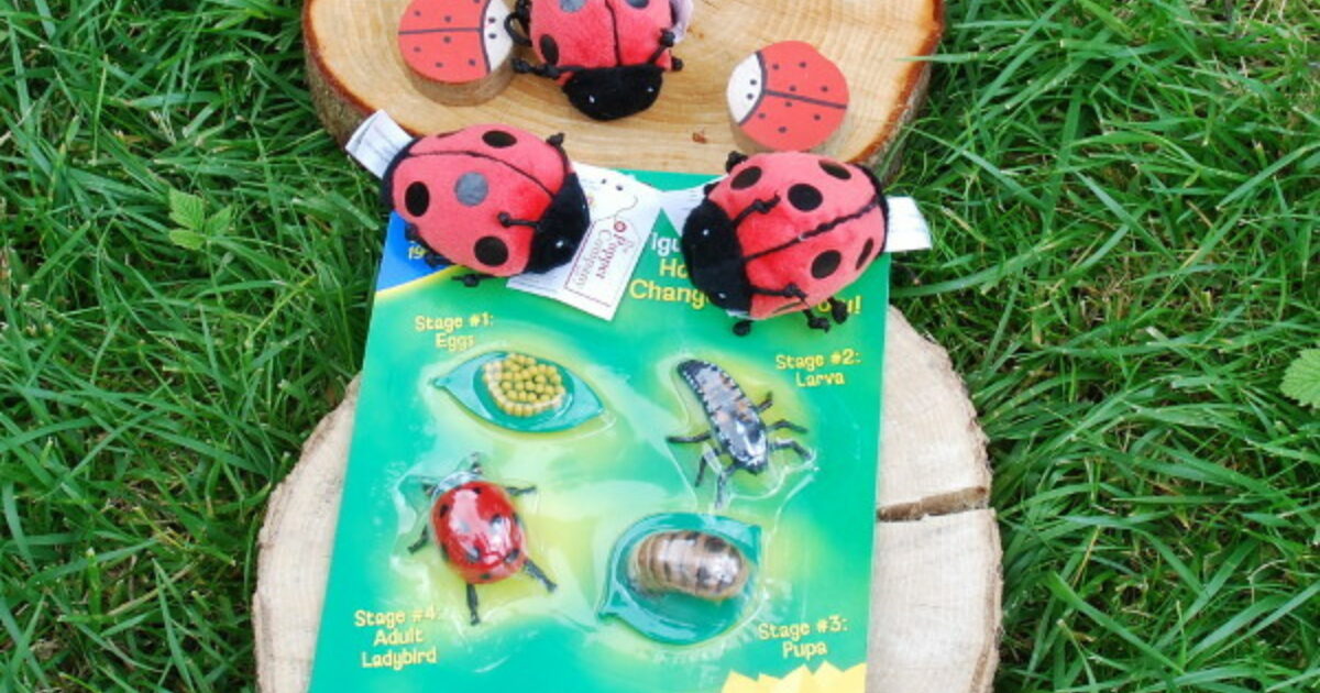 Nature and Observation - Kits and Sets | Muddy Faces