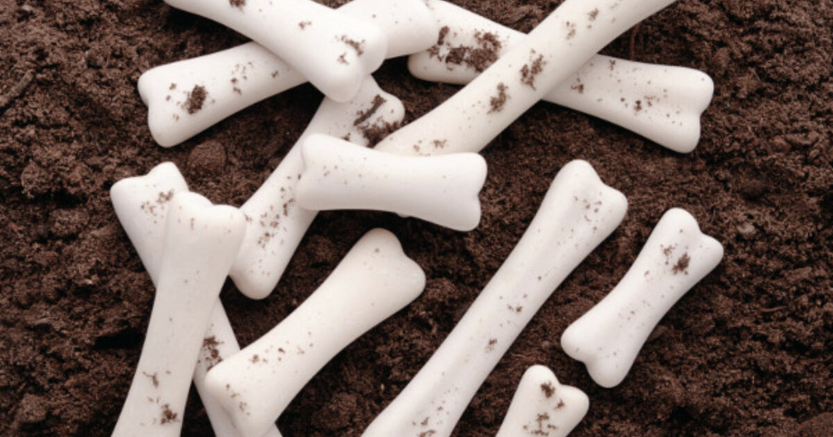 History | Curriculum Learning | Muddy Faces