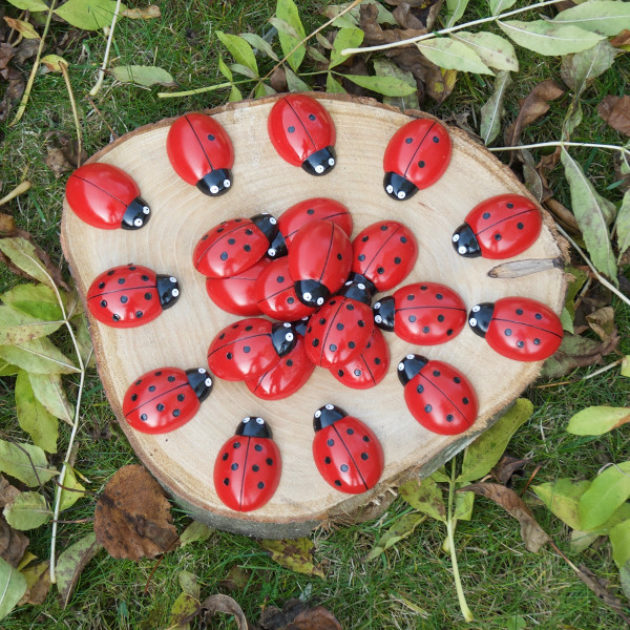 Ladybird Counting Set | Muddy Faces