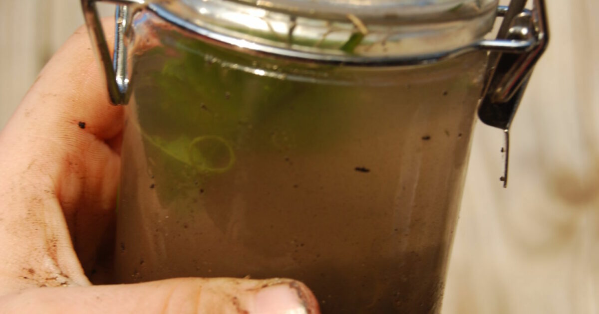 Bottles & Jars | Mud Kitchens, Sand & Water Play | Muddy Faces