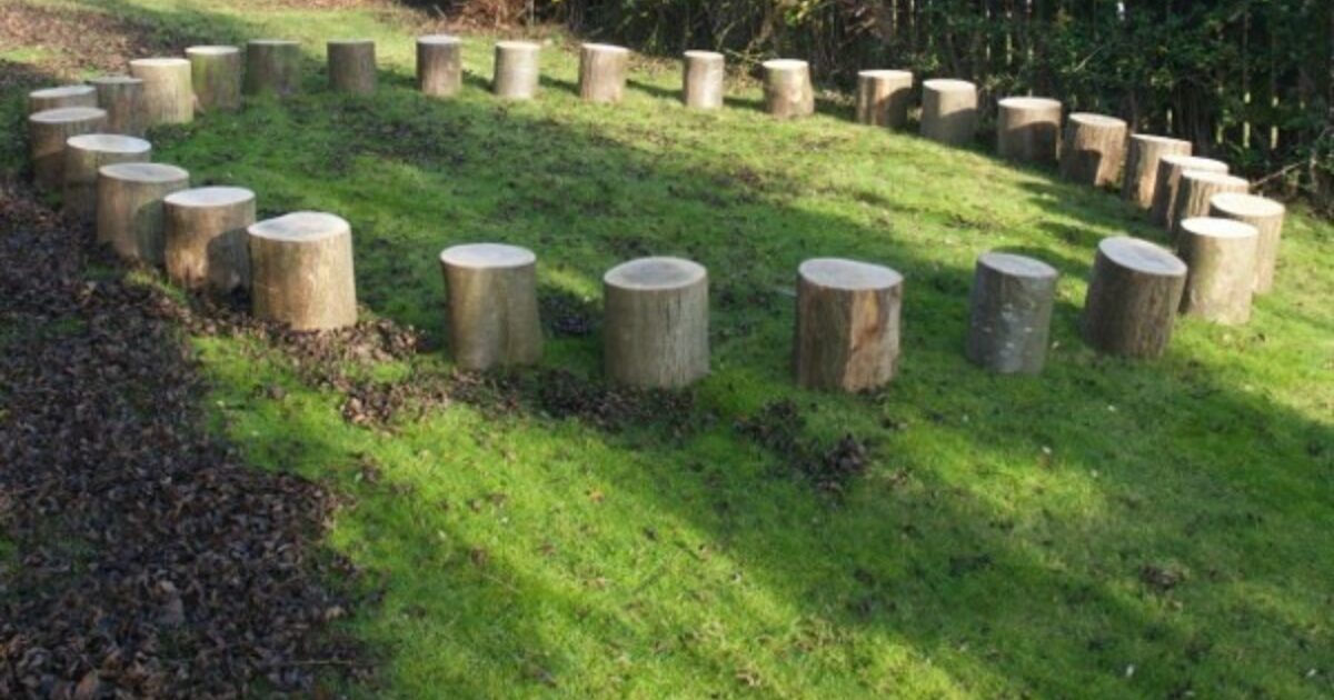 Outdoor Seating, Logs & Planks | UK Grown Wood | Muddy Faces