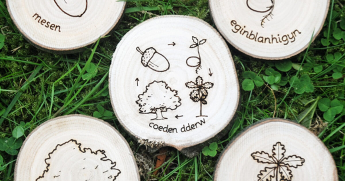 Shwmae Sumae Day | Muddy Faces