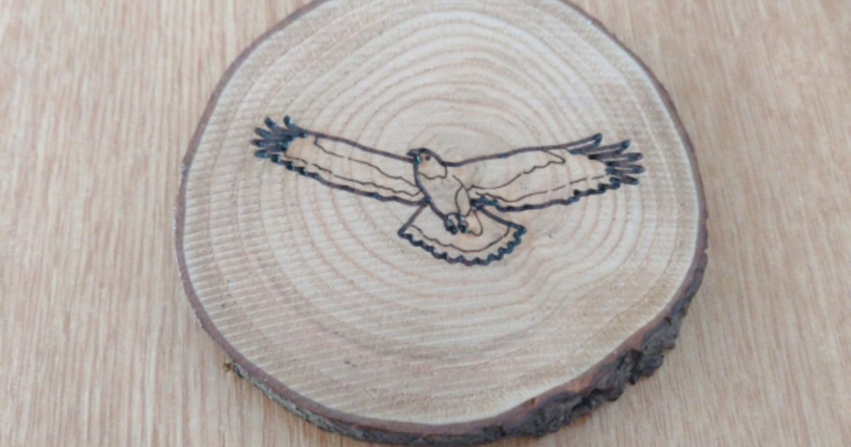 Buzzard | Bird Gifts | Muddy Faces