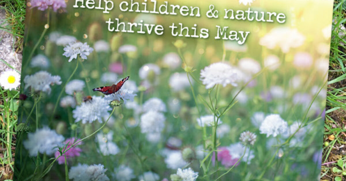 What's On (oh so much!!) in May | Muddy Faces