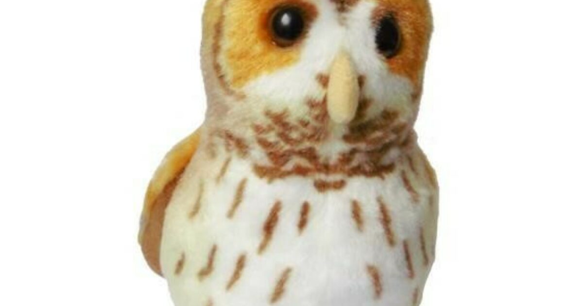 Cuddly owls store