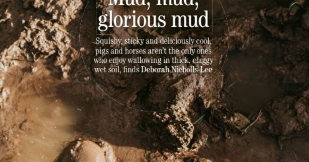Muddy Faces featured in Country Living magazine | Muddy Faces