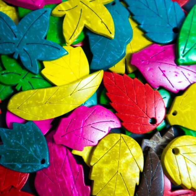 Coconut Shell Leaf Shapes - coloured | Muddy Faces