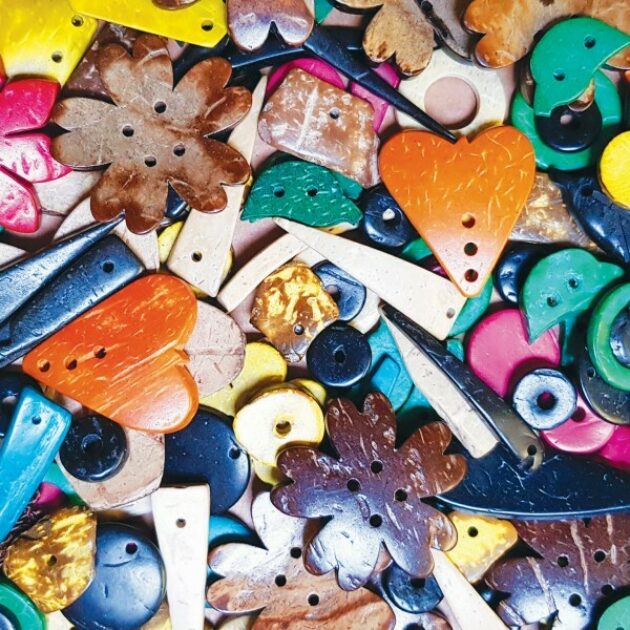 Coconut Shell Assorted Shapes - coloured | Muddy Faces