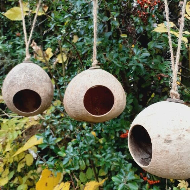 Coconut Shell Bird House / Feeder - Pack of 3 | Muddy Faces