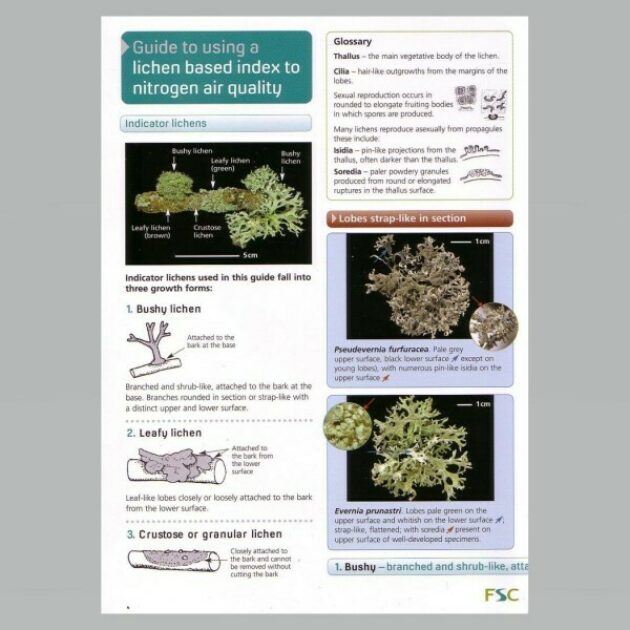 Field Guide - Lichen Based Index to Nitrogen Air Quality | Muddy Faces