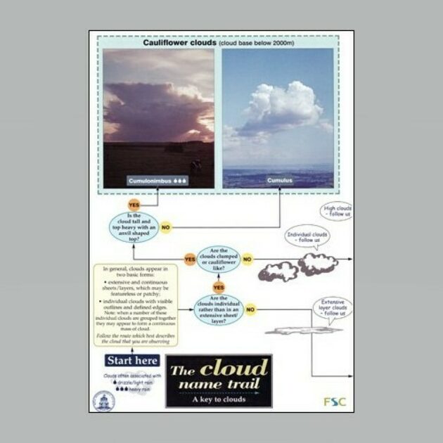 Name Trail - Clouds | Muddy Faces