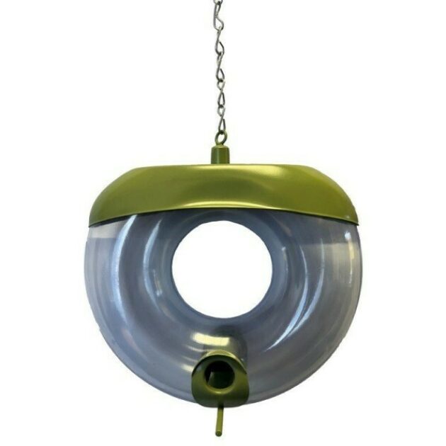 Miami Seed Doughnut Feeder | Muddy Faces