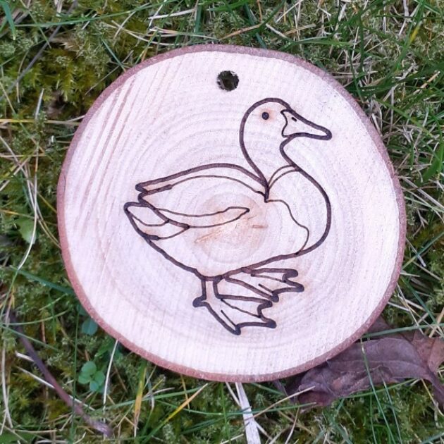 Trail Disc - Bird - Mallard Duck | Muddy Faces