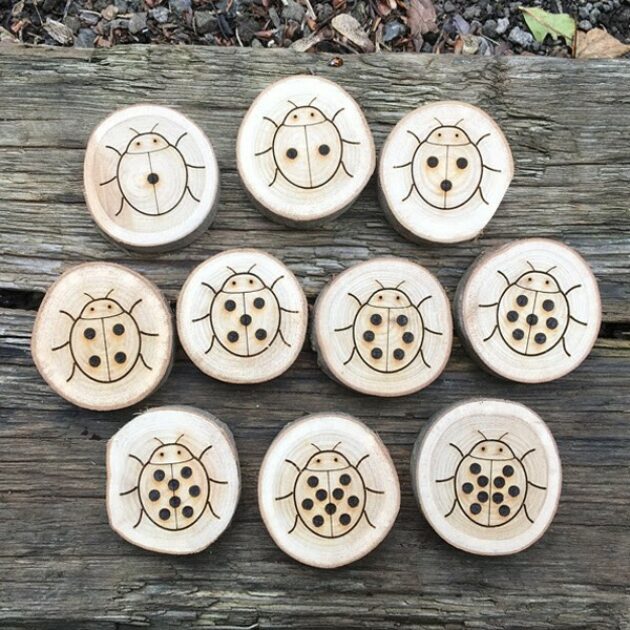 Double Sided Ladybirds Counting Set 1 10 Muddy Faces double-sided-ladybirds-counting-set-1-10-muddy-faces