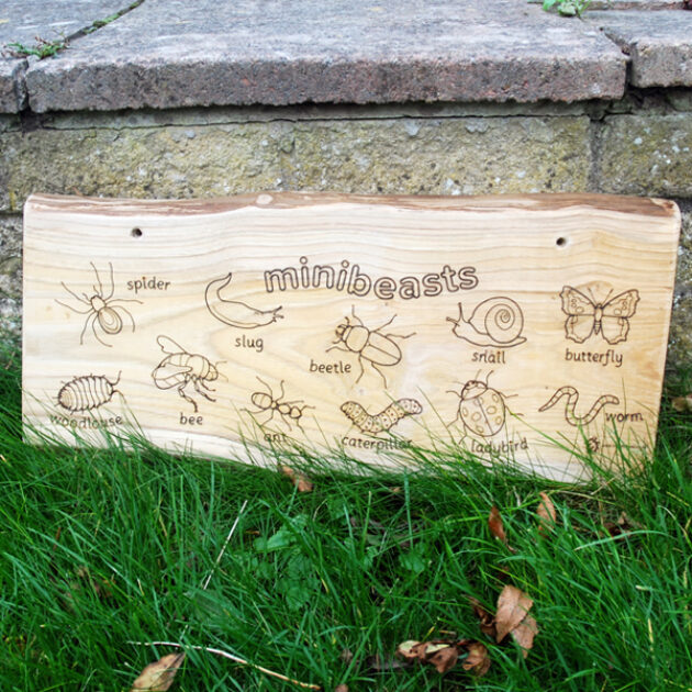 Rustic ID Board - Minibeasts | Muddy Faces