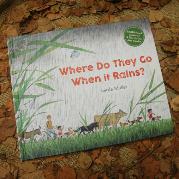 Where Do They Go When it Rains? - Gerda Muller | Muddy Faces