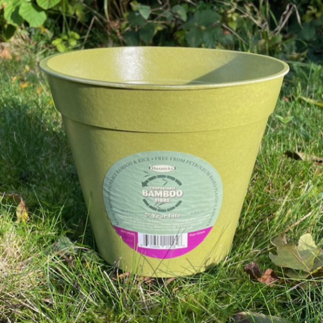 Bamboo Pot 8" - Sage Green | Muddy Faces