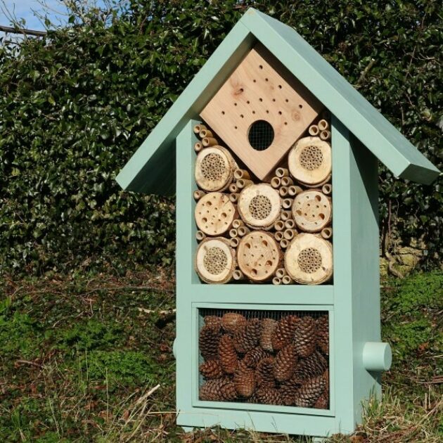 Giant Bee & Bug Biome | Muddy Faces