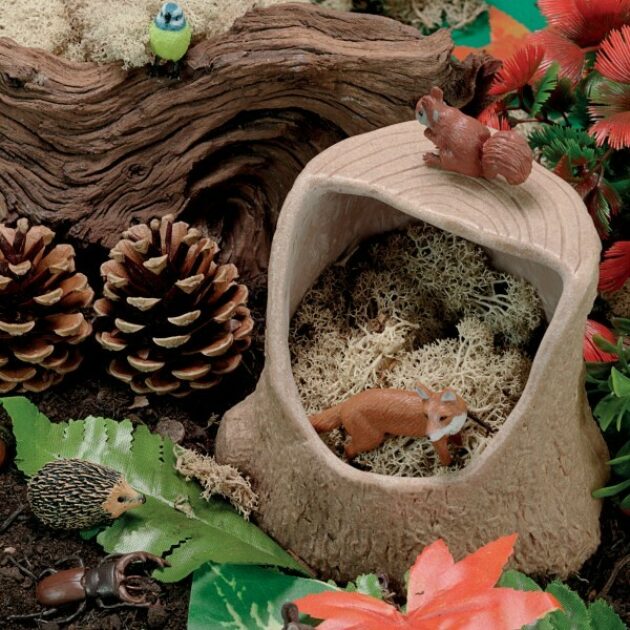 Tree Stump | Muddy Faces