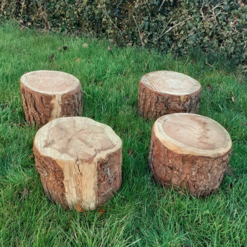 Log stool store