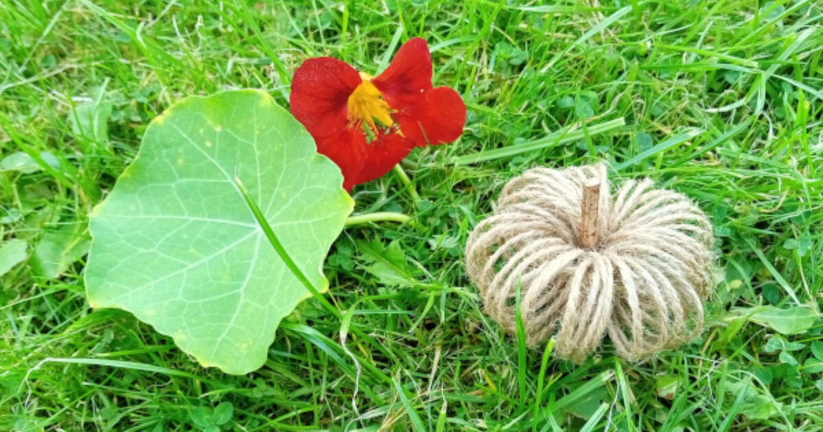 String Pumpkin - Activities | Muddy Faces