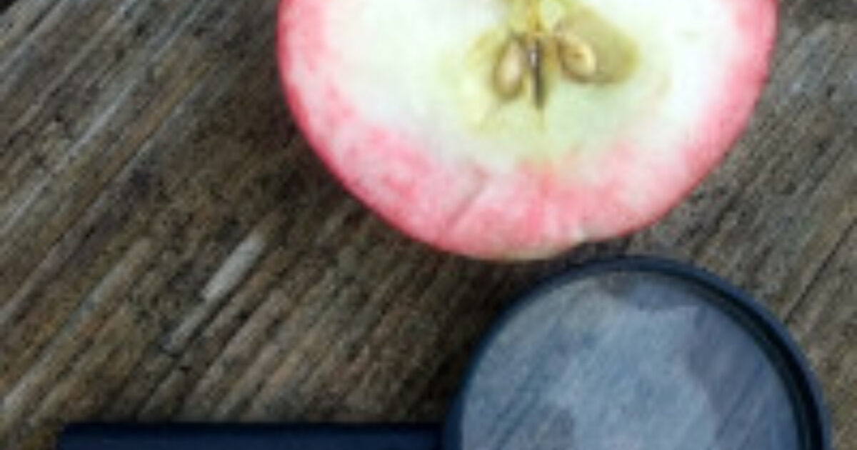 science - Activities Category | Muddy Faces