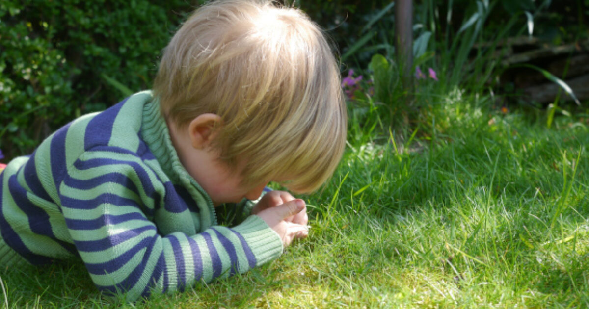 Take a closer look... - Activities | Muddy Faces