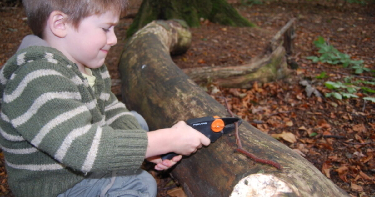 secateurs & saws - Activities Category | Muddy Faces