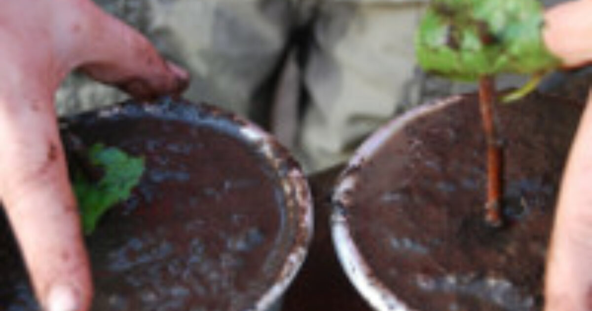 Mud play tips | Muddy Faces