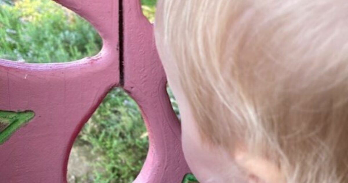 Peepholes | Active Boundaries | Muddy Faces