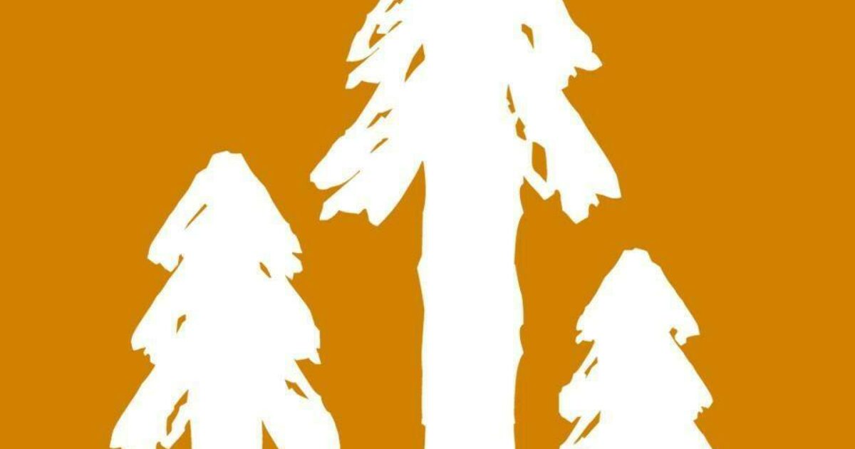 FORESTed kit list (with budget) | Forest School kit… | Muddy Faces