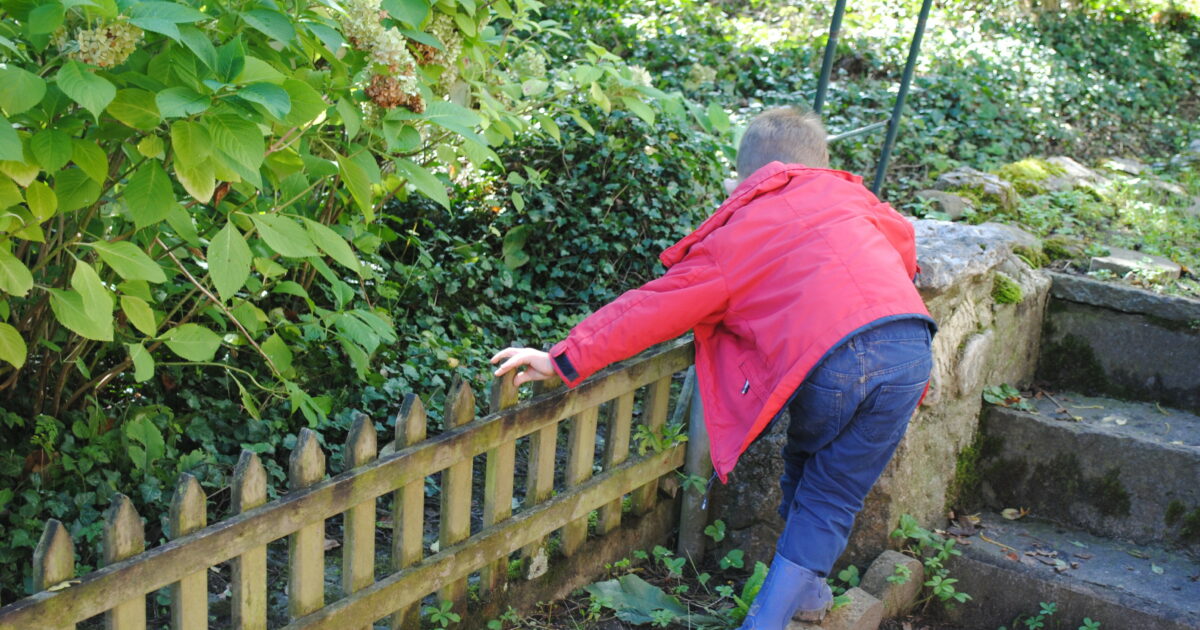 Paths & edges | Active Boundaries | Muddy Faces