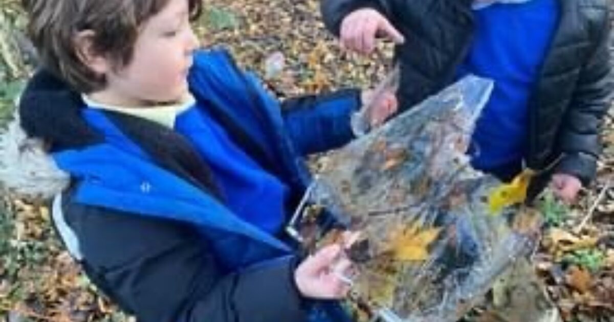 Learning Beyond the Classroom level 3 (SHEFFIELD) | Muddy Faces