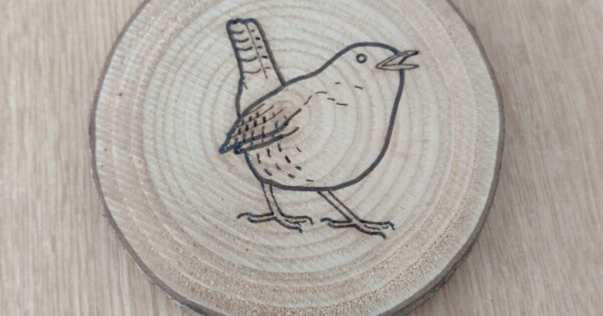 RSPB Big Garden Birdwatch | Muddy Faces