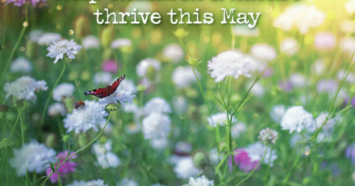 Free postcard celebrates May! | Muddy Faces